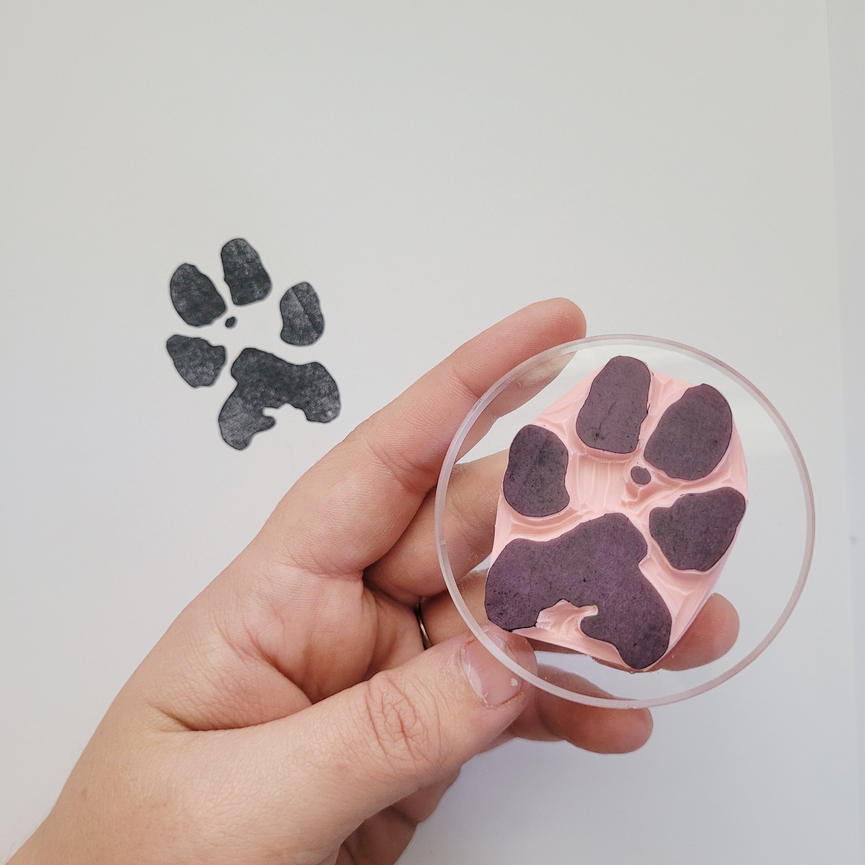 Paw Print Pet Stamp | Salt & Paper – Salt and Paper